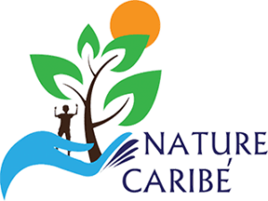 Inicio - CEBSE - CENTRO PARA LA CONSERVACIÓN Y ECO-DESARROLLO DE LA ...